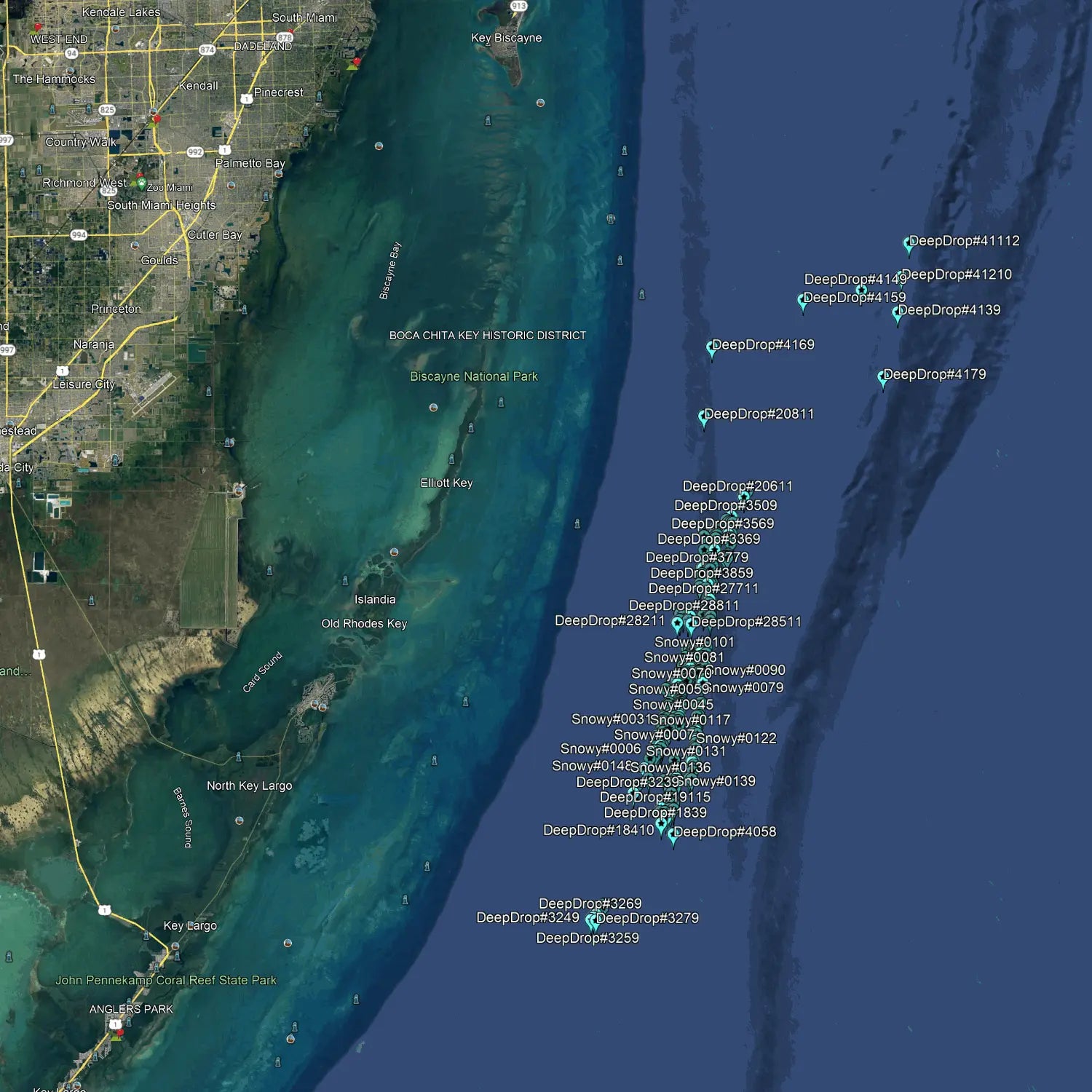 Discover Homestead Deep Drop Fishing Spots – Fish On