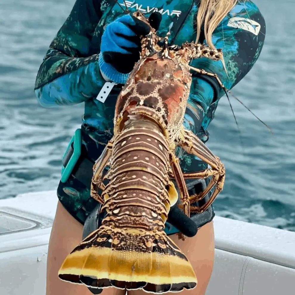Marathon Lobster Spots - Your Guide to Middle Keys Lobster – Fish On